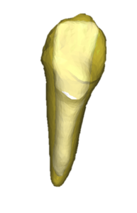 Feature - MeshLib - 3D Mesh Processing Library C++, Python, C#, C